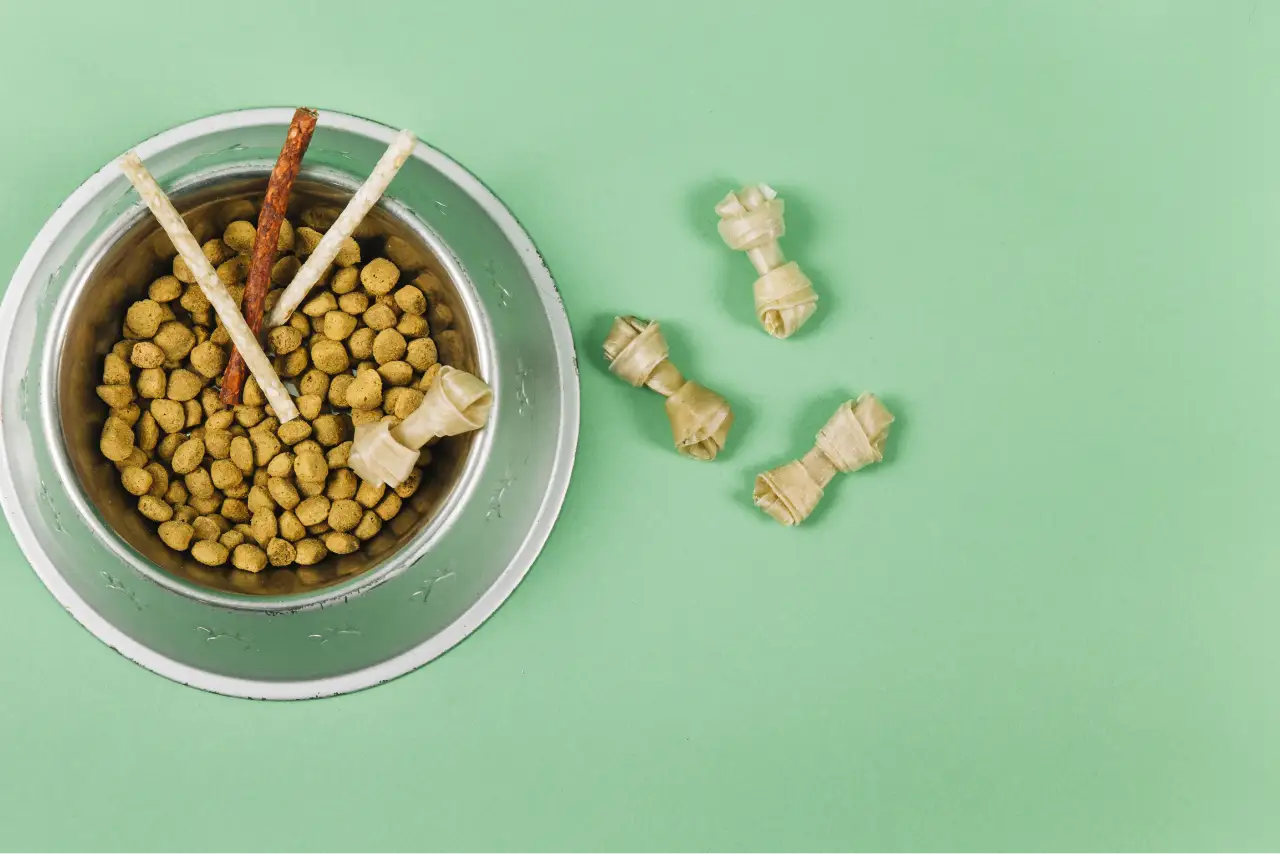 Wat is goed hondenvoer? Ingrediënten, kwaliteit & tips